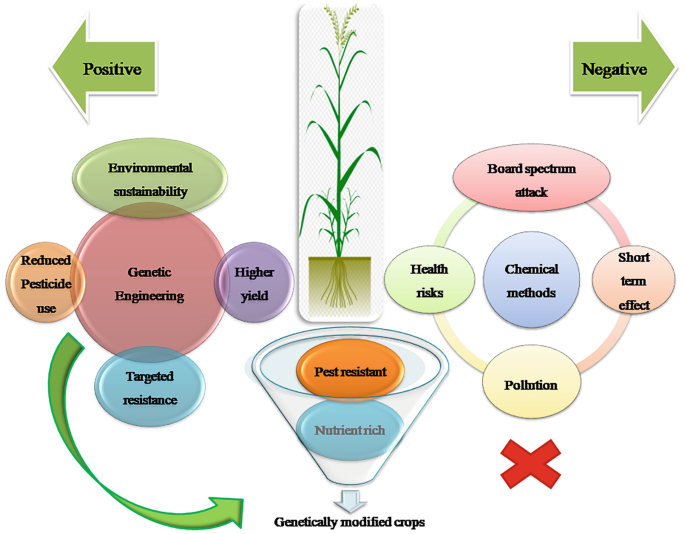 Engineering Plant Immunity: Genetic Strategies for Pest Resistance in ...