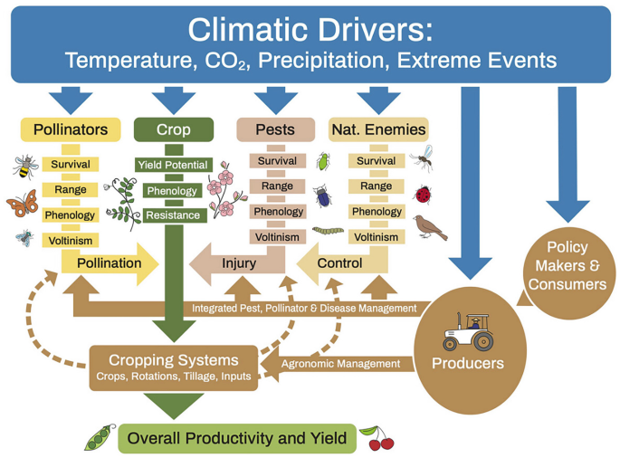 Shifting Dynamics: Climate Change Effects on Insect Pests and ...