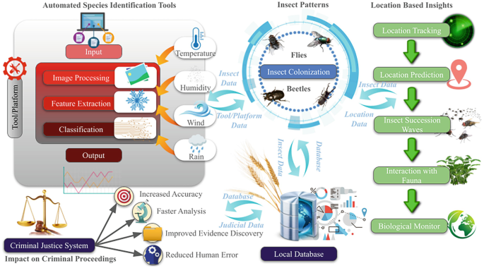 Advancements in AI-Driven Entomological Tools for Forensic ...