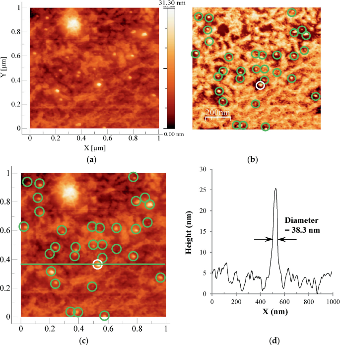 Map to Nanomaterials Through Green Nanotechnology | Springer Nature ...
