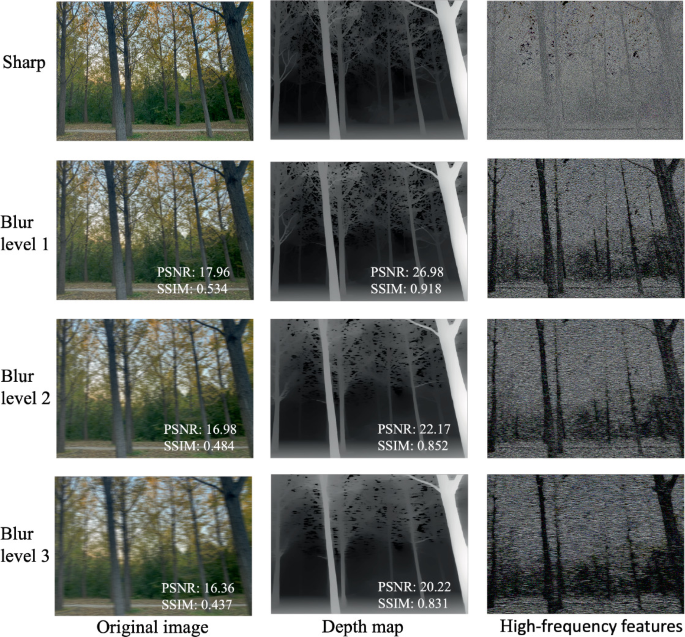 Depth-Frequency Synergy Guided Single-Image Deblurring | Springer ...