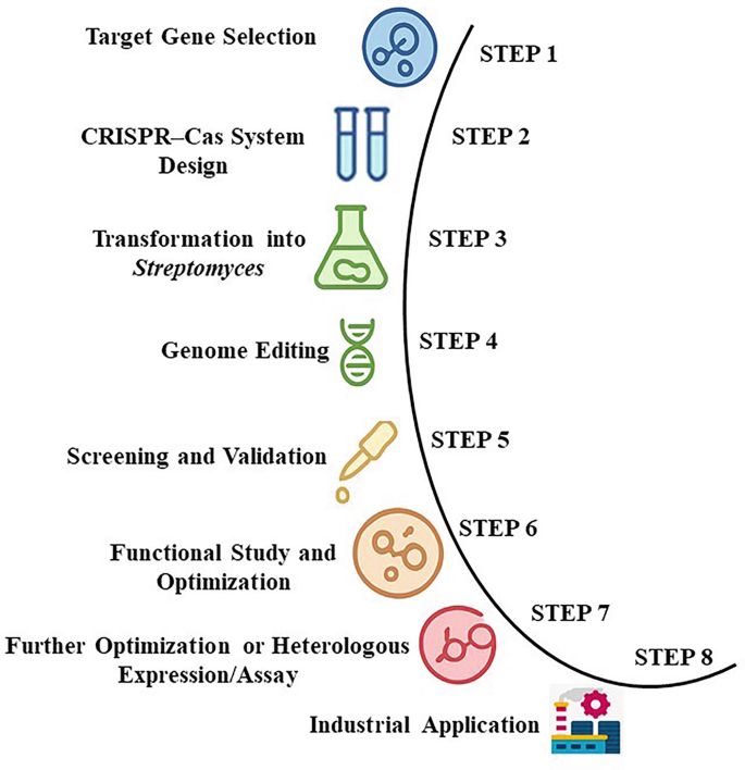 Role of Genetic Engineering in Streptomycetes | Springer Nature Link