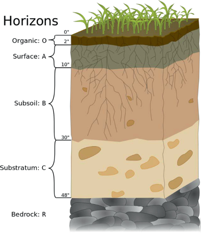 Soil Chemistry | SpringerLink