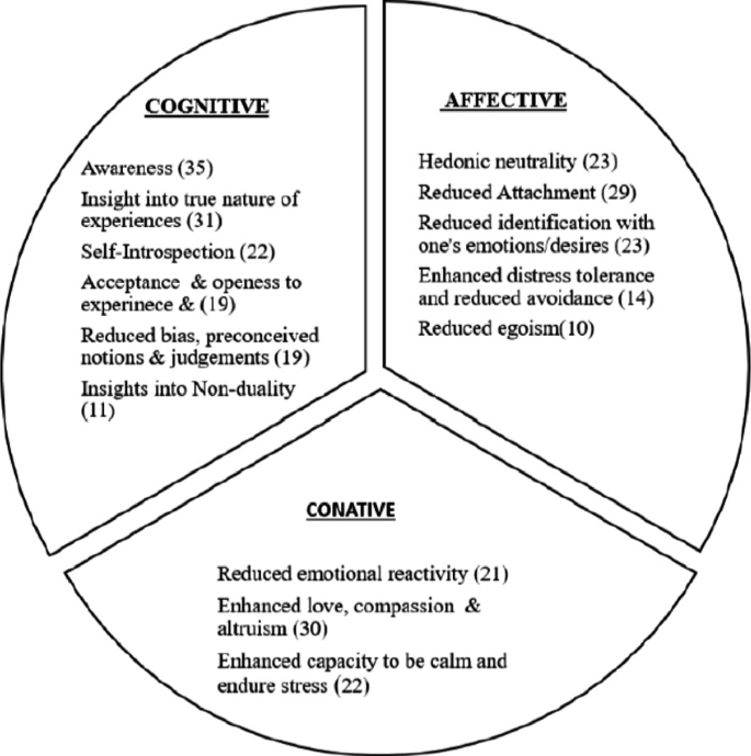 The Theoretical Frameworks and Psychosocial Health Correlates of ...