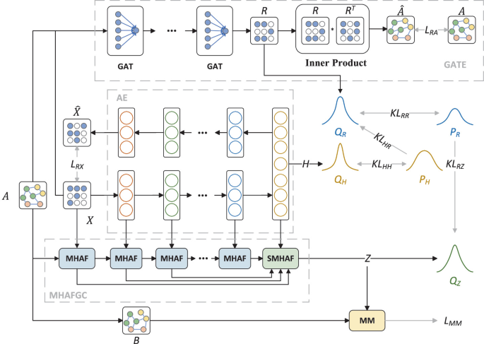 High-Order Structure Enhanced Graph Clustering Network | SpringerLink