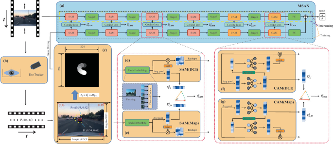 MSAN: Multi-Scale Adaptive Network Guided by Human Attention for ...