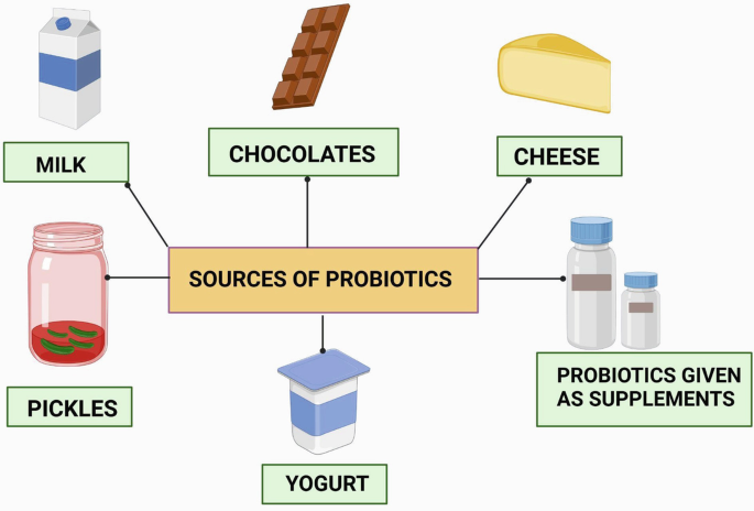 Probiotics: Immune Responses and Gut Microbiome | SpringerLink