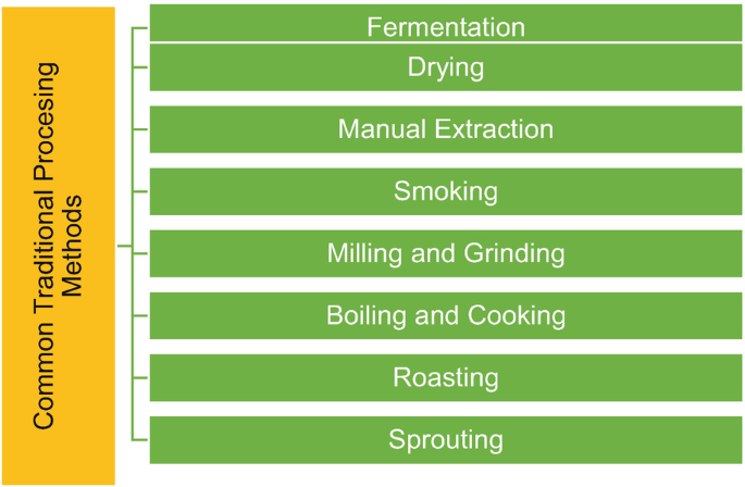 Processing Techniques for Bio-based Products in the Global South ...