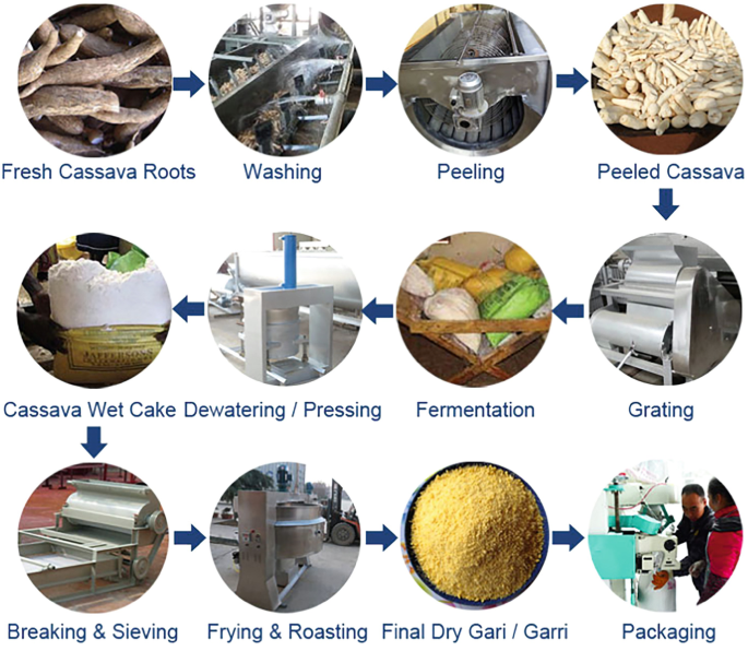Processing Techniques for Bio-based Products in the Global South ...