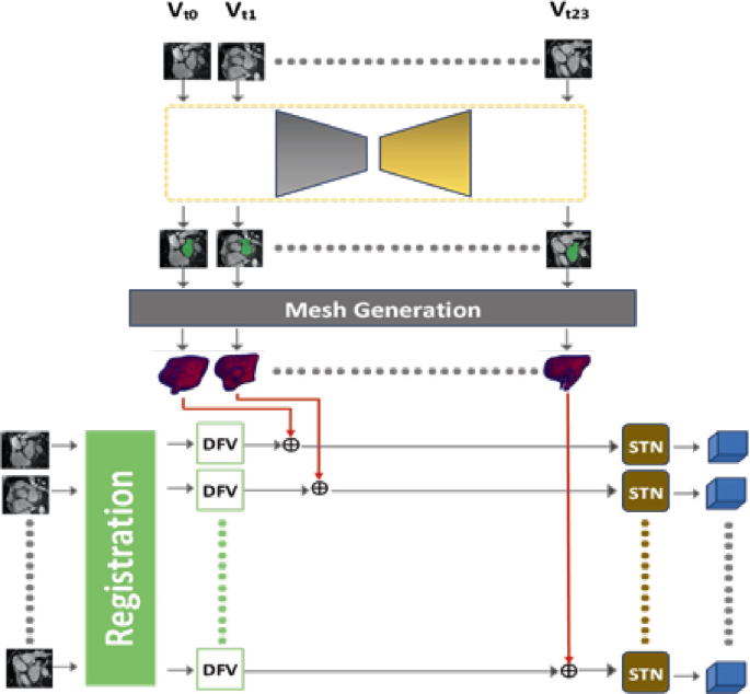 Assessment of Left Atrium Motion Deformation Through Full Cardiac Cycle ...