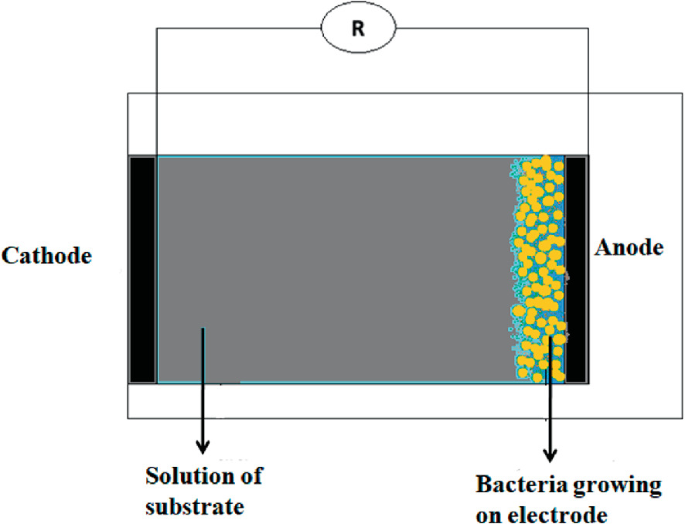 Electricity Generation Using Microbes | SpringerLink