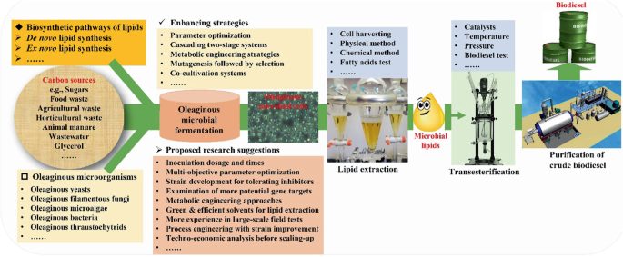 Challenges and Prospects of Biodiesel Technology for Industrialization ...