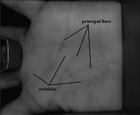 Palmprint Recognition Method Based on Orientation Features: A Survey | SpringerLink