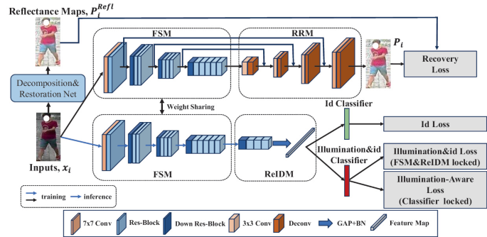 Reflectance Recovery Guided Learning of Illumination-Invariant Features for Person Re ...