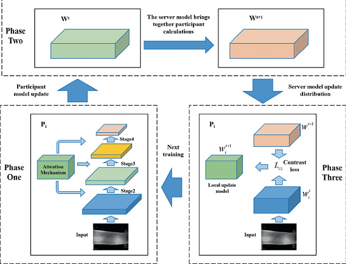 A Federated Learning Framework for Lightweight Model Contrast for Finger Vein Recognition ...