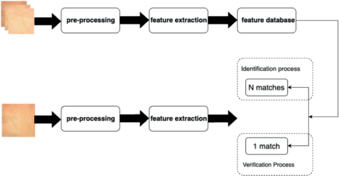 A Federated Learning Framework Using FedProx Algorithm for Privacy-Preserving Palmprint ...