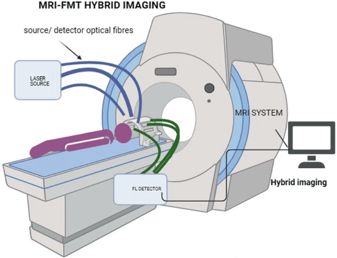 Magnetic Resonance Imaging/Fluorescence Molecular Tomography Hybrid ...