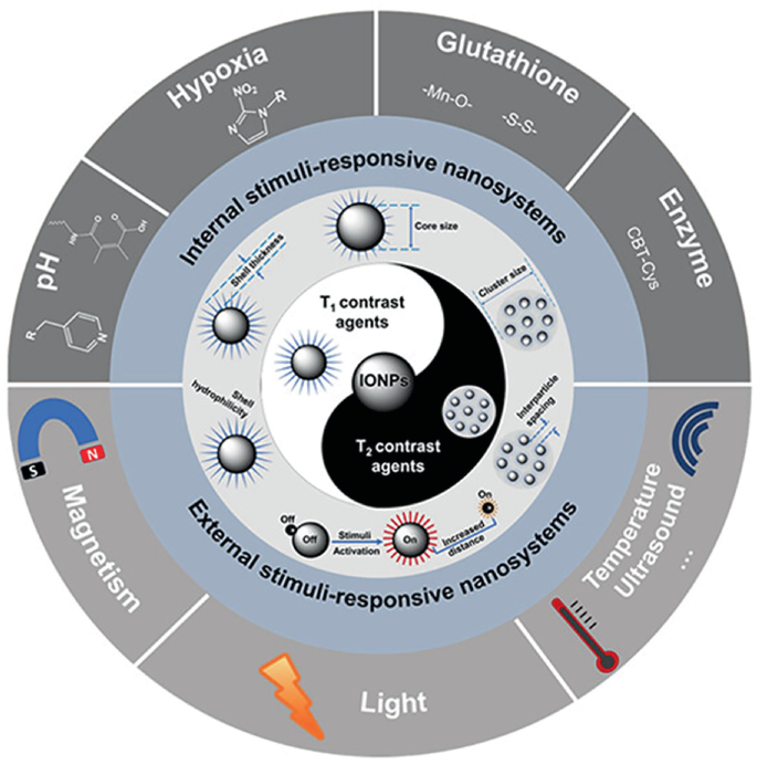 MRI Contrast Agents Based on Iron Oxide Nanoparticles: Design ...