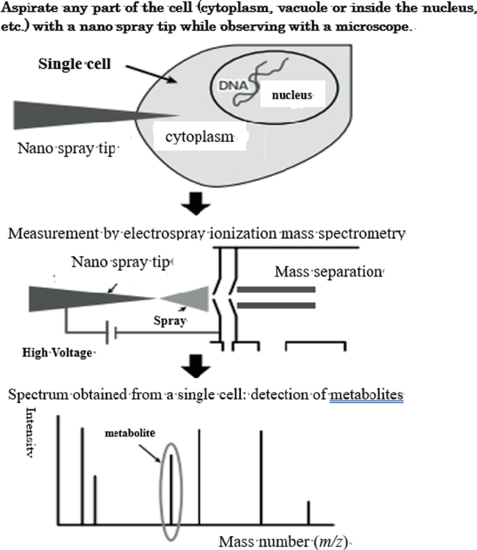 Measuring Molecules to Change Medicine | SpringerLink