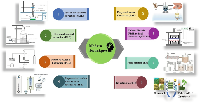 Bioactive Compounds Extraction from Seaweed by Biotechnology Process ...