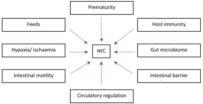 Necrotizing Enterocolitis | SpringerLink
