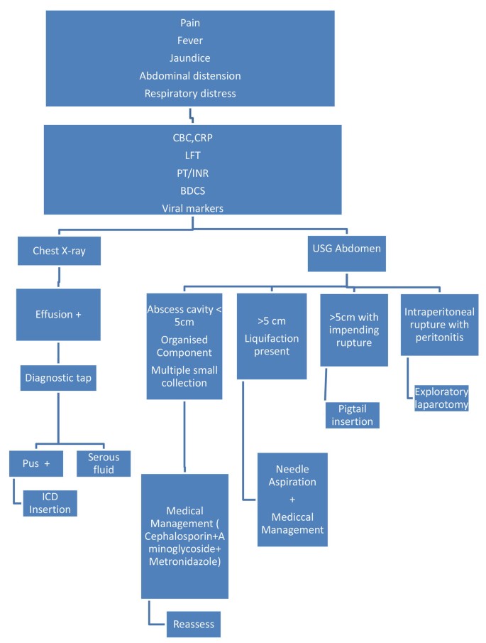 Splenic and Liver Abscess | Springer Nature Link
