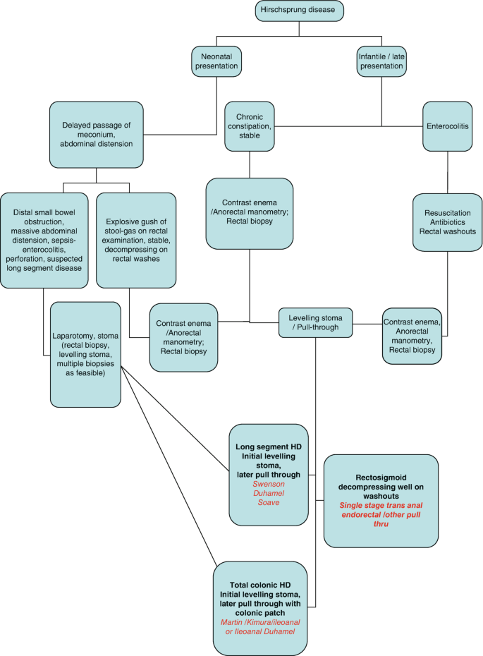Hirschsprung Disease | SpringerLink