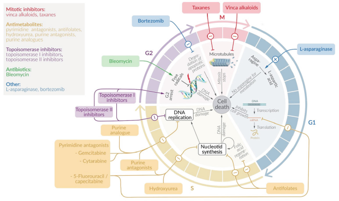 Principles of Cancer Chemotherapy in Children | SpringerLink