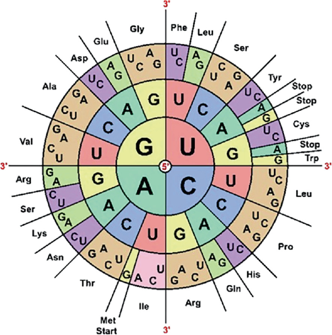 Discovering the Genetic Code: Investigating Gene Expression Analysis ...