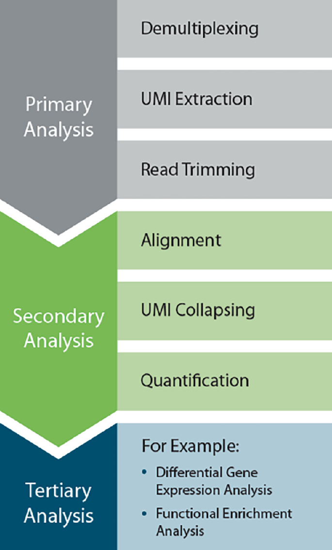 Discovering the Genetic Code: Investigating Gene Expression Analysis ...