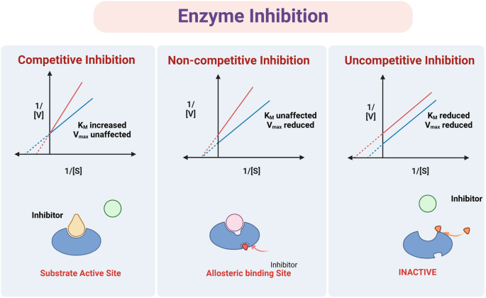 Metabolism: Fine and Coarse Controls | SpringerLink