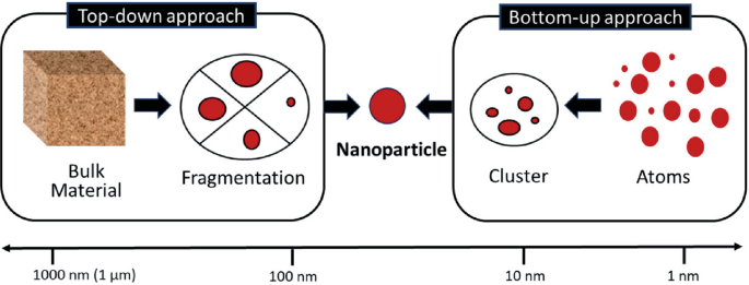 An Overview of Nanotechnology in Agroforestry Systems | SpringerLink