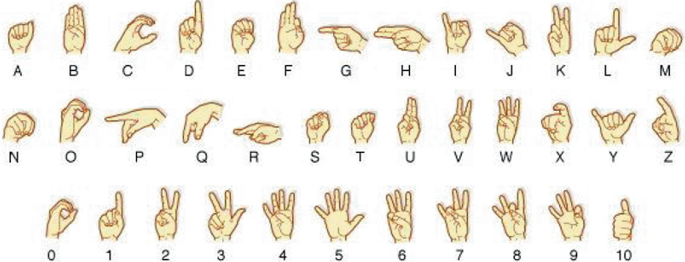 Enhancing Communication with Advanced CNN Models for Recognizing ...