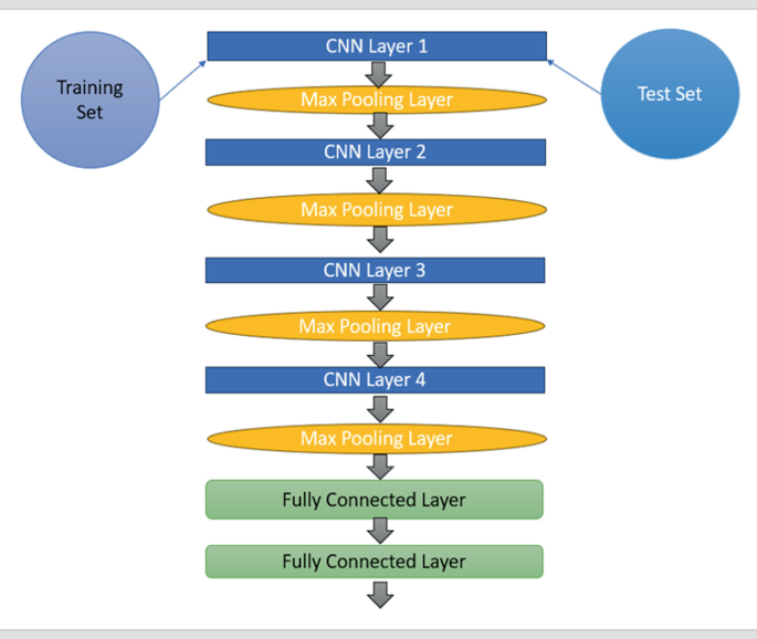 A Gender Classification for Scylla olivacea (Indian Crabs) Using Deep ...