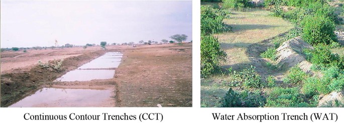 A Case Study on Effective Water Management and Sustainable Agriculture ...