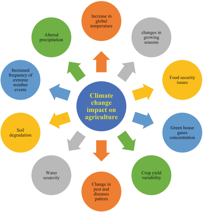 Advancing Climate-Resilient Agriculture: Adaptive Strategies and Soil ...