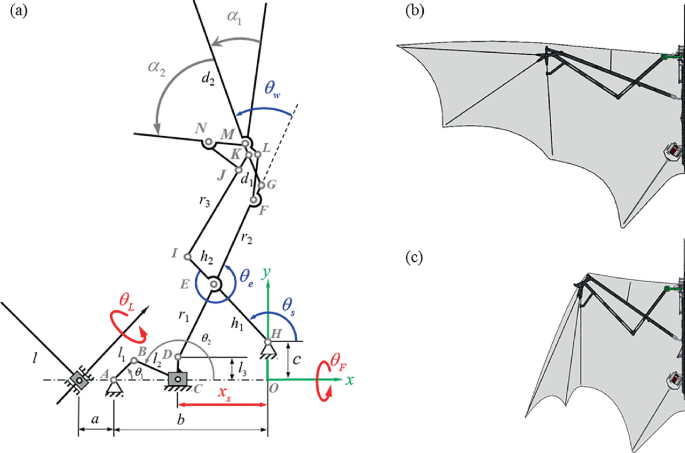 Design of a Bat-Inspired Flapping Robot | Springer Nature Link ...