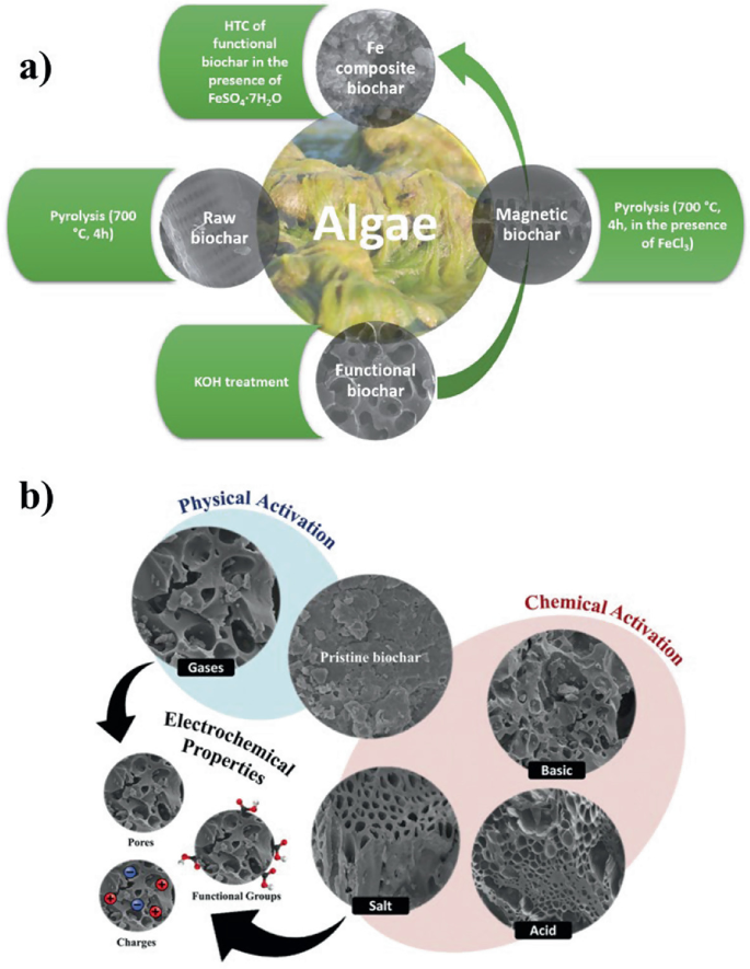 Magnetic Biochar-Based Heterostructures and Their Applications ...