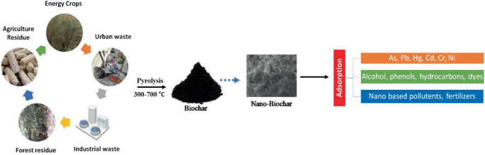 Biochar-Based Composites for Removal of Heavy Metal Ions | Springer ...