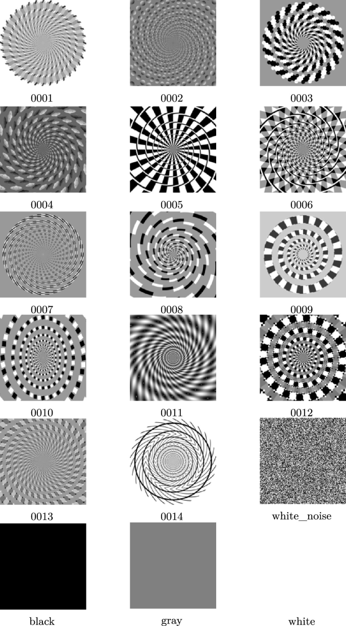 Investigating Visual Illusions in Convolutional Neural Networks Using ...