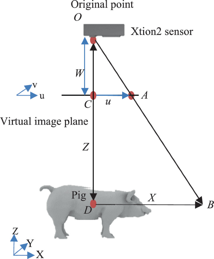 Handheld Pig-Weight Estimation Using an RGB-D Sensor | SpringerLink
