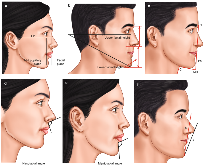 History and Examination of Structural and Functional Deformities of the ...