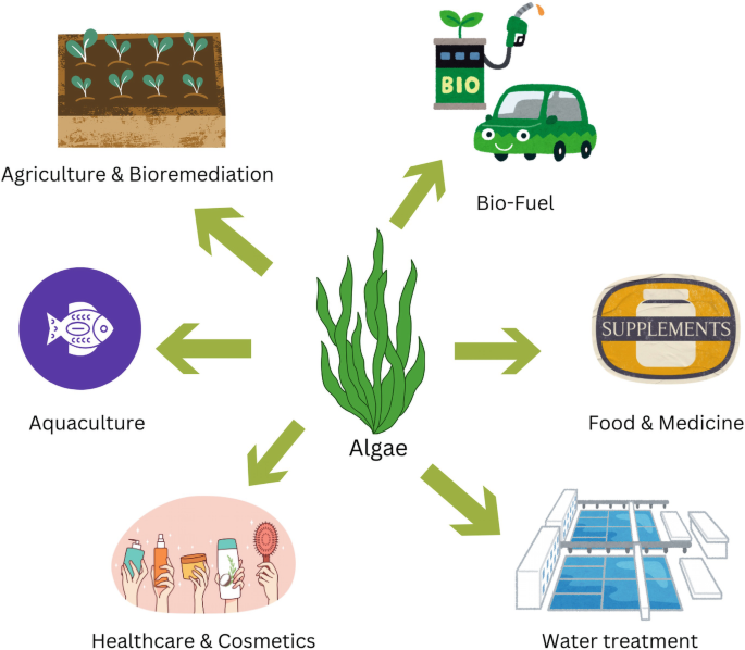 Economic Perspectives of Algal Biotechnology | SpringerLink