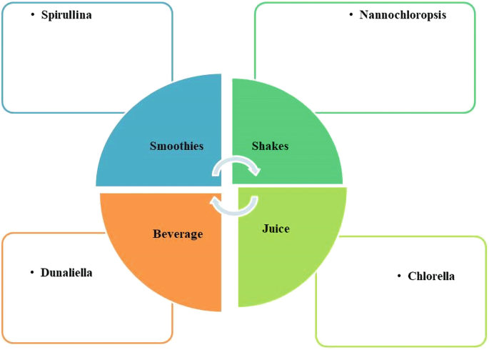 Potential Applications of Algae in Foods | SpringerLink