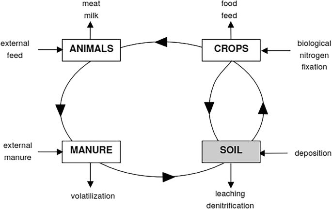The Crop–Livestock–Soil Nutrient–Water Nexus in Mixed Farming System: A ...
