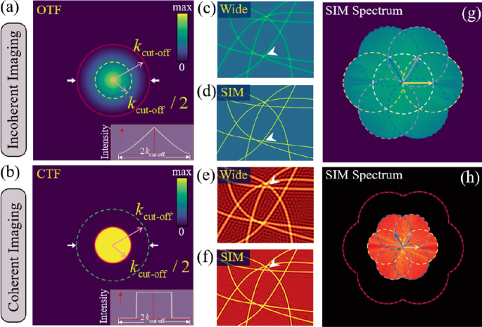 Structured Illumination Imaging | SpringerLink