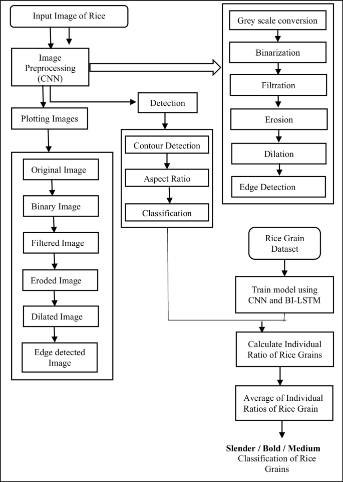 SmartRiceQC: Integrating CNN and Bi-LSTM for Precise Rice Quality ...