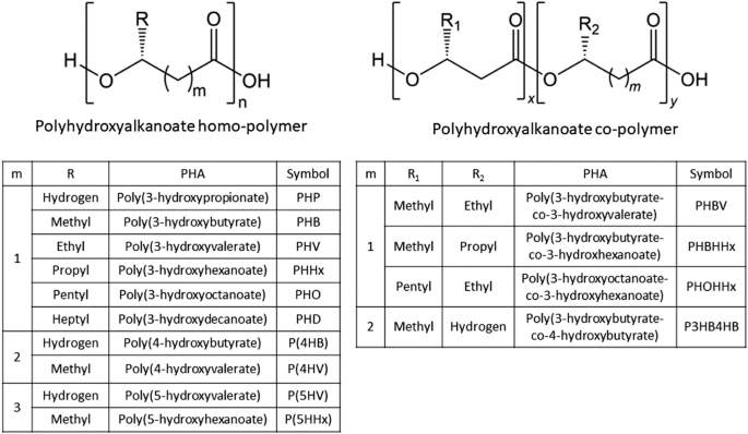 Biodegradable PHA Plastics in Composting and Sewage Sludge Treatment ...