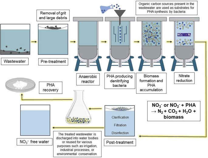 Polyhydroxyalkanoates as Potential Tools for Denitrification of ...