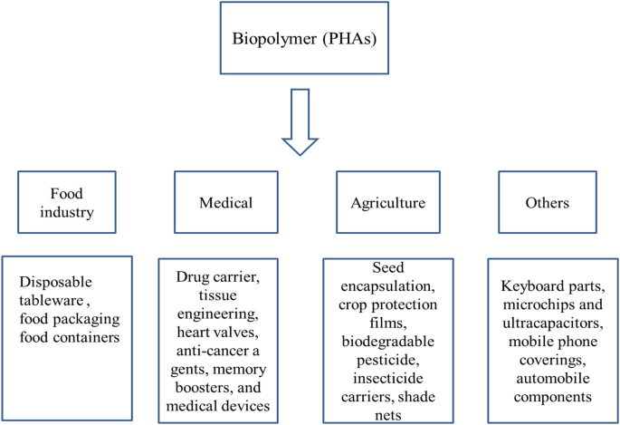 Potential Perspectives of Microbial-PHA Biopolymers Produced by Using ...